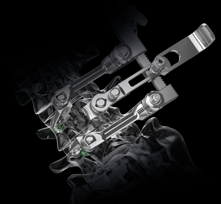 Spine | Biedermann Motech GmbH & Co. KG