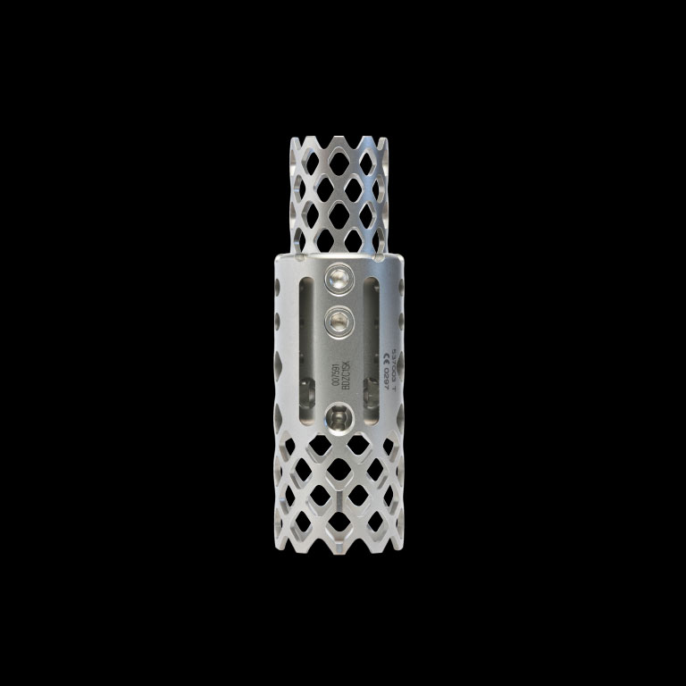 Spine | Biedermann Motech GmbH & Co. KG